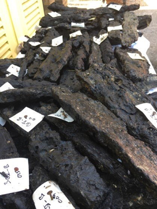 8000-Year-Old Shipyard Located off English Coast is World’s Oldest ...