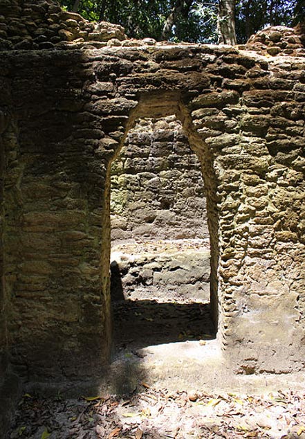 The Mysterious Temples and Citadel of El Pilar Remain Hidden in Thick ...