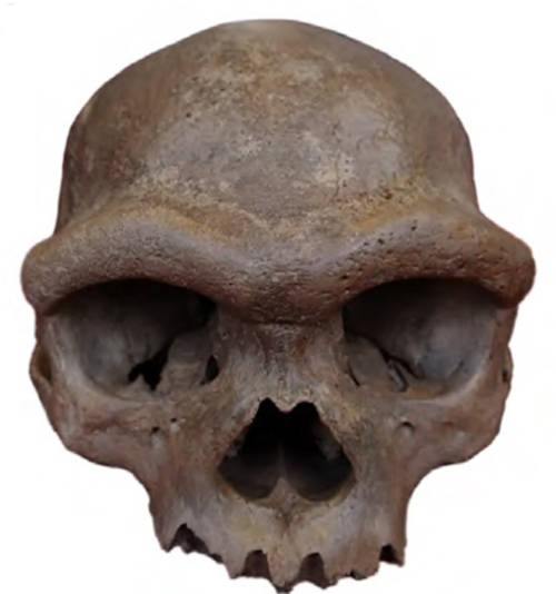 Denisovan DNA Gift Lives On In Modern Indigenous Americans | Ancient ...