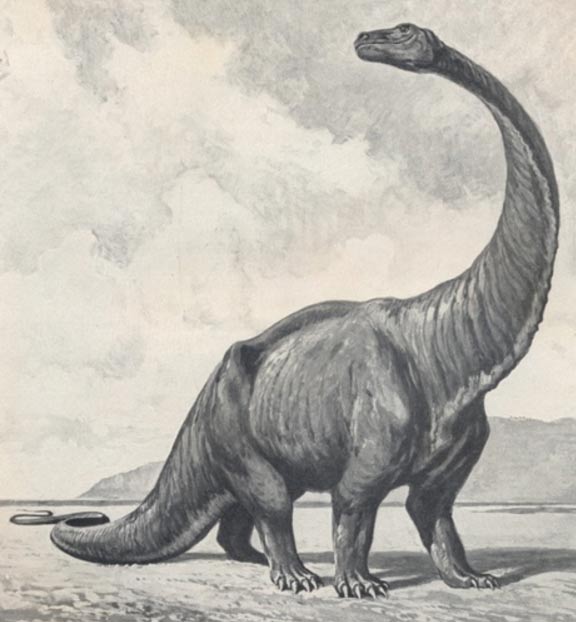 Mokele mbembe The Monster Of The Congo River Ancient Origins