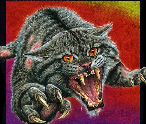 Test what you know about Lesser-known Mythical Creatures with this ...