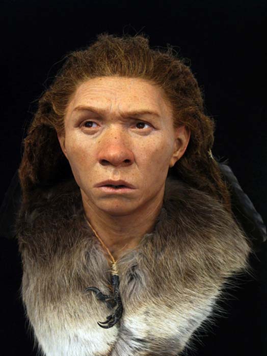 Neanderthal Face Reconstruction New Research Shows That Neanderthals