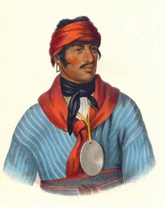 The Tragedies that Befell the Five Civilized Tribes that were Forced to ...