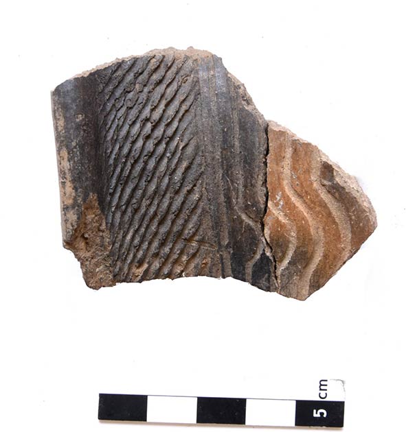 Mixture and Migration Brought Food Production to Sub-Saharan Africa ...