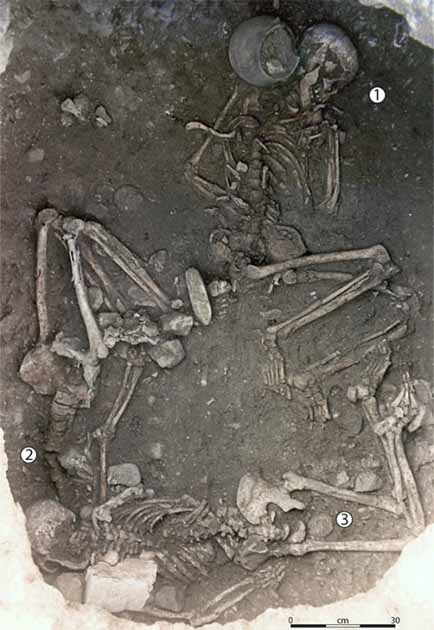 Investigation of Tomb Burial Reveals Sick Neolithic Ritual Sacrifices ...