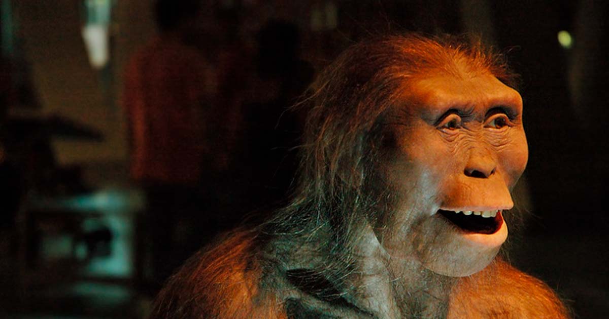 How Did Our Most Famous Ancient Ancestor Really Die? (Video) | Ancient ...