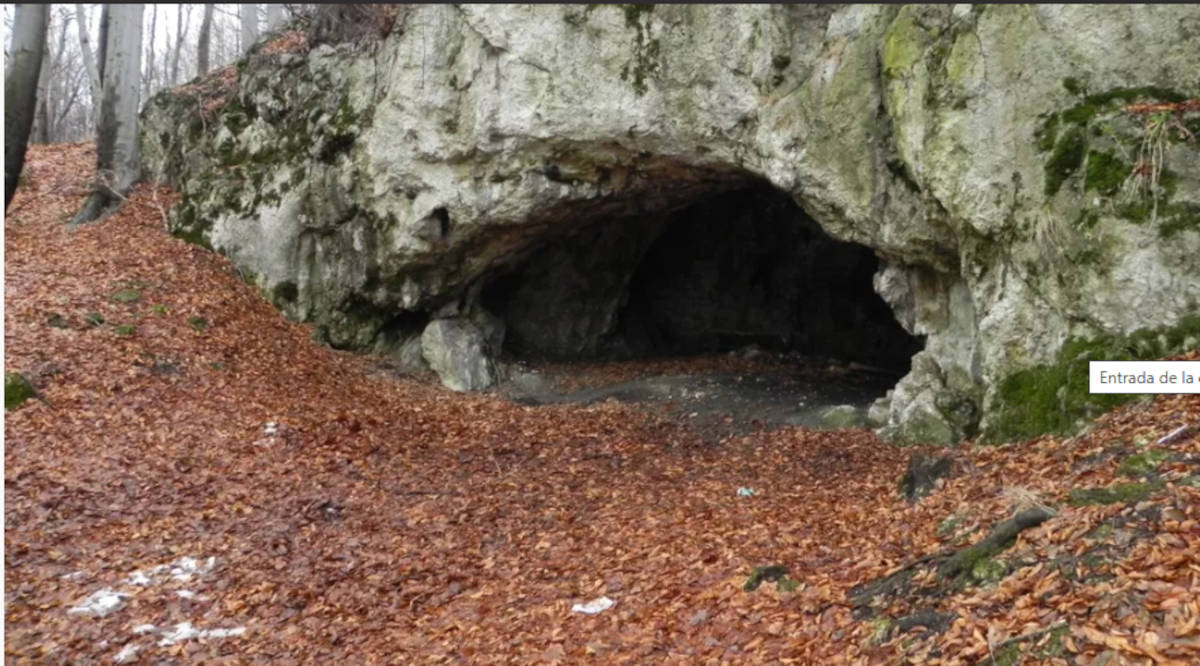 18,000 Years Ago, There Were Brain-Eating Cannibals in Poland | Ancient ...