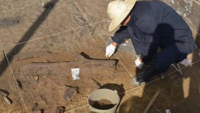 Andreea onlyfans she’s relatively new to the hobby, yet