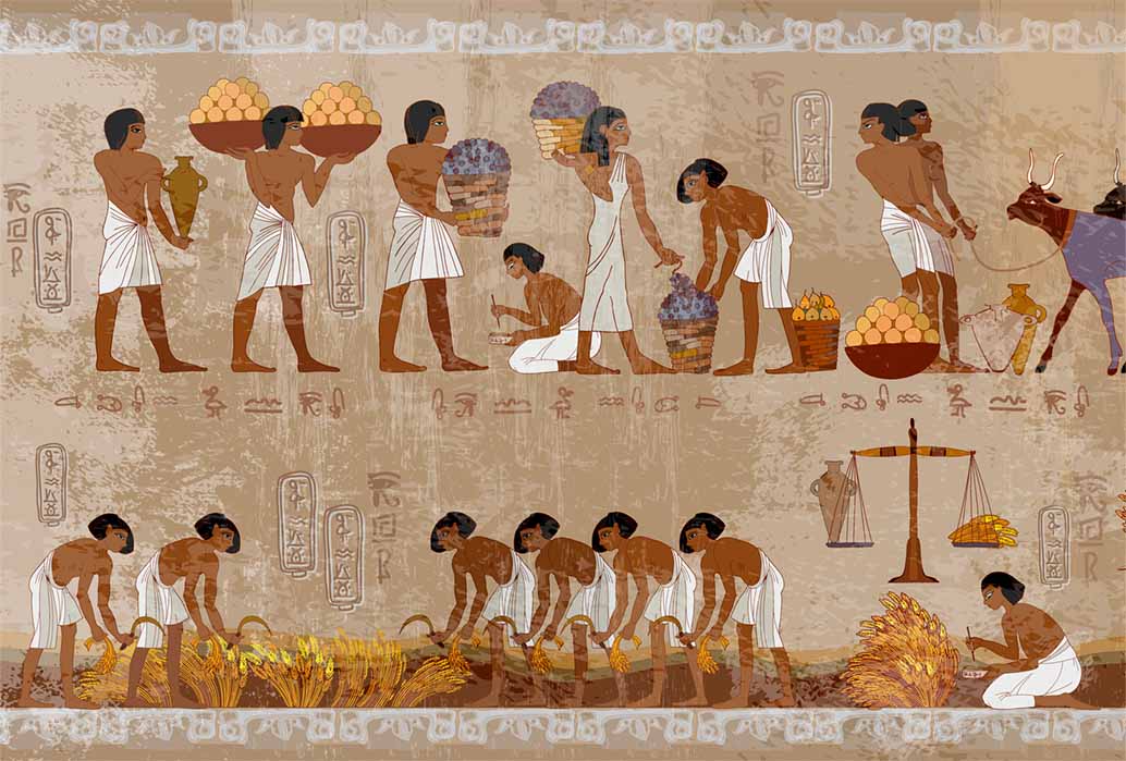 The Real Culprit of an Ancient Egyptian Plague Was... Bread? (Video ...