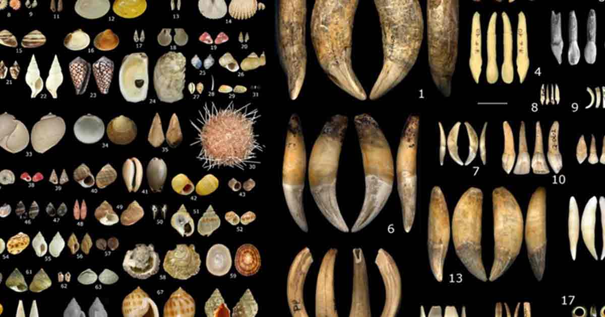 Prehistoric Jewelry Unveils 9 Distinct Paleolithic European Cultures ...