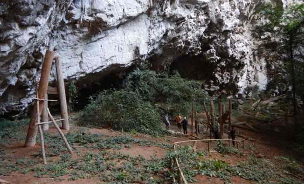 DNA Elucidates Thailand's Iron Age ‘Log Coffin Culture’ | Ancient Origins