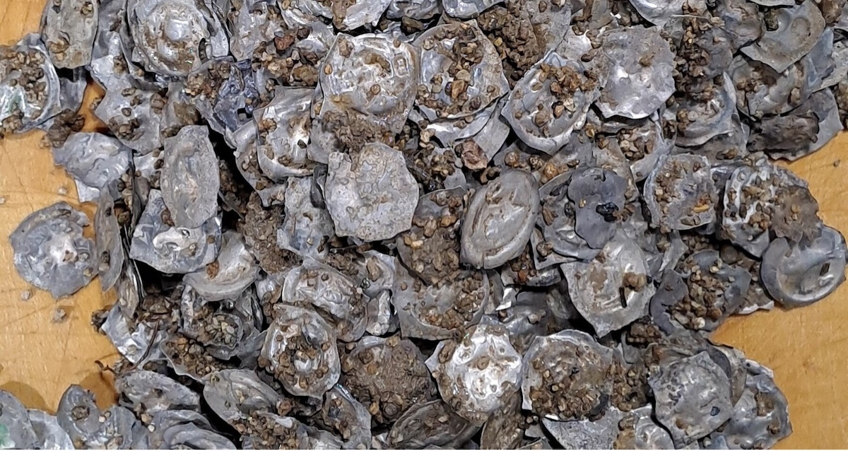 Medieval Coin Treasure Unearthed in Glottertal: A Glimpse into the 14th ...