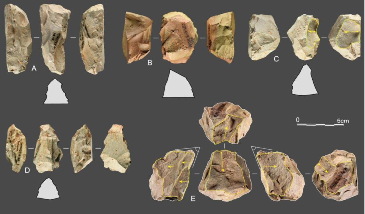 Neanderthal Tool Technology from 50,000 BC Found for First Time in ...