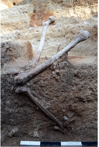 New Study Analyzes a Mesolithic Cemetery Full of Children and an Odd ...