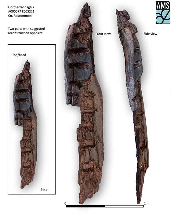Iron Age Pagan Idol Discovered in Irish Bog | Ancient Origins