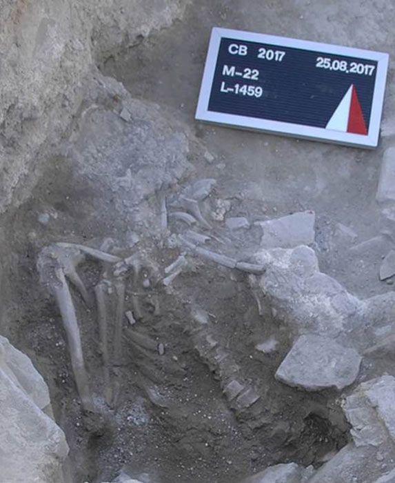 Shattered Skeletons of Man and Dog From Eruption and Tsunami 3,600 ...