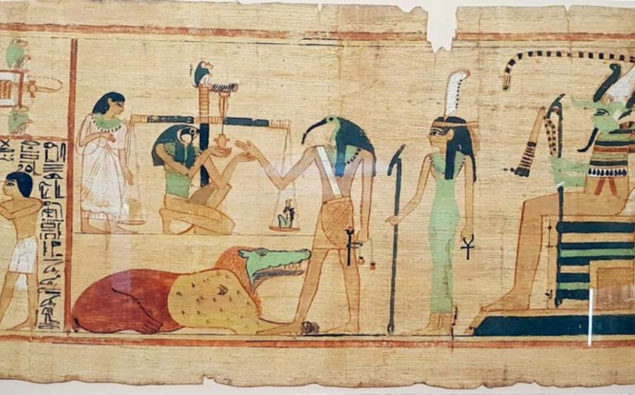 ibis mummies | Ancient Origins