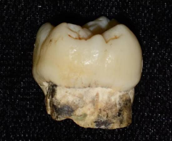 6 Surprising Facts About Life for Egyptian Slaves | Ancient Origins