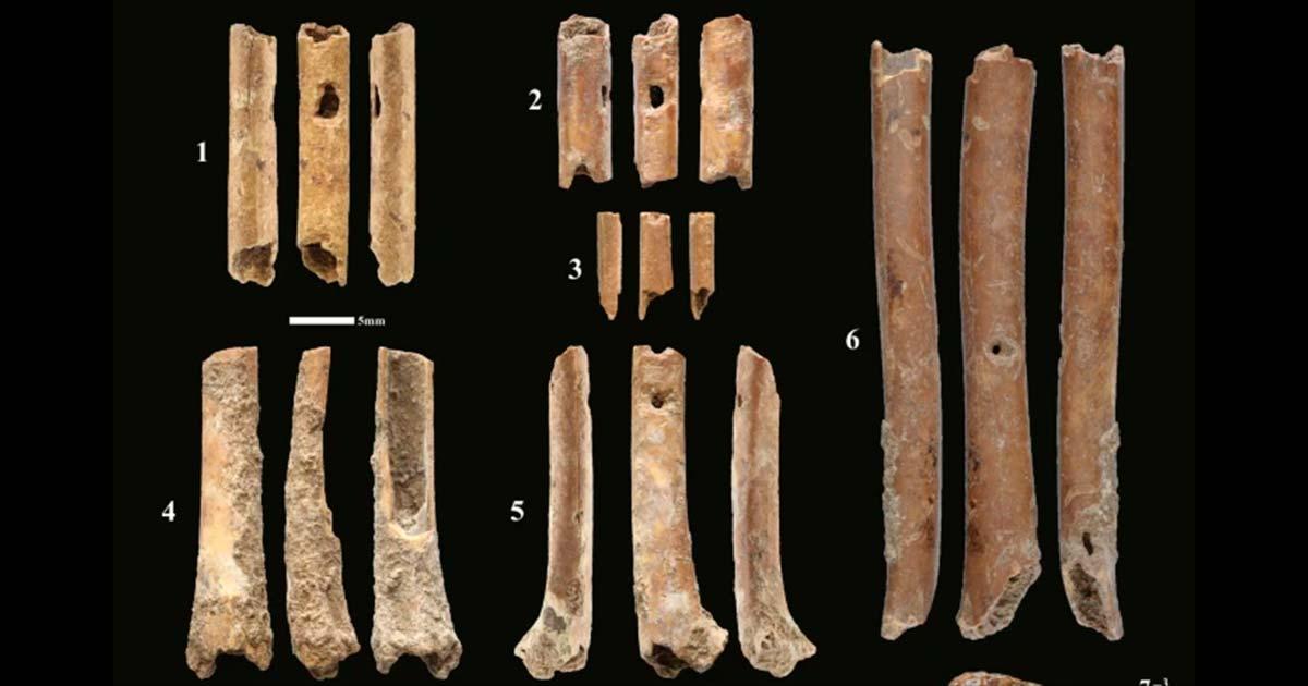 Using These 12,000-Year-Old Flutes, Did Humans Speak With Raptors ...