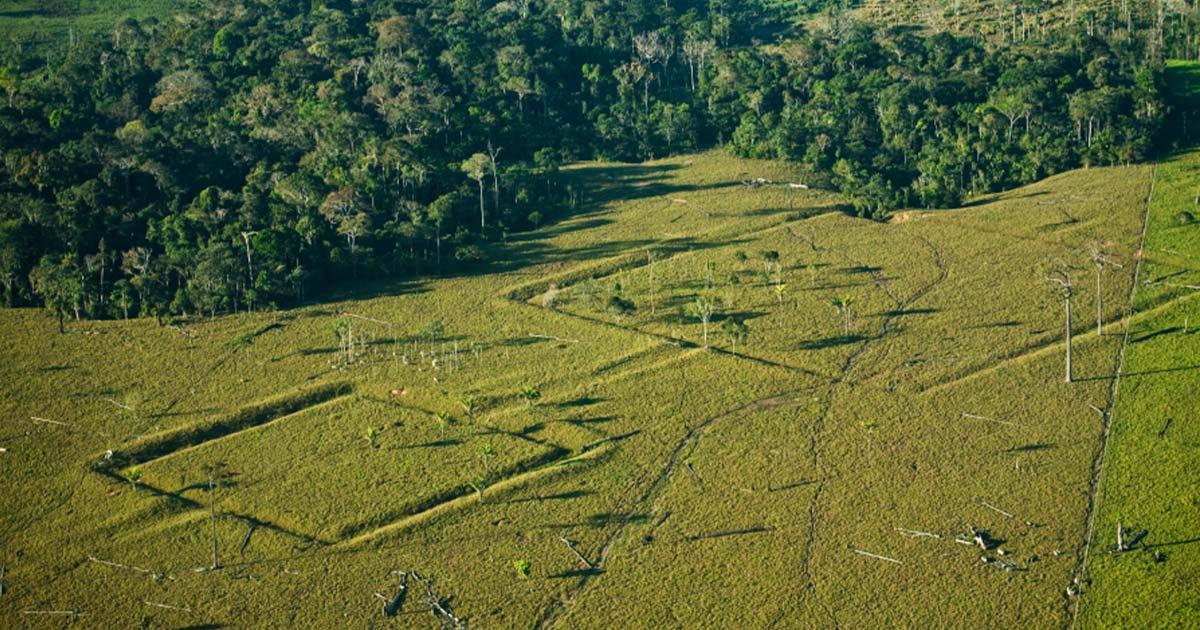 Over 10,000 Earthworks in the Amazon Revealed By LiDAR | Ancient Origins