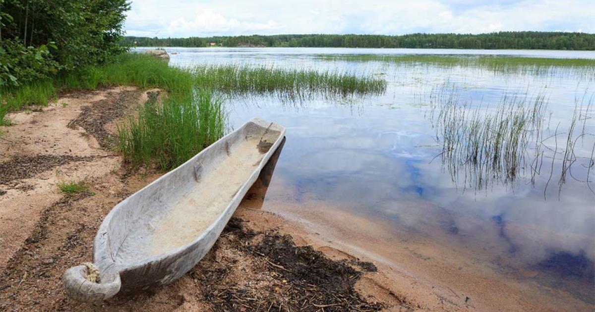 Irish Schoolboy Finds Ancient Log Boat While Out Paddling | Ancient Origins