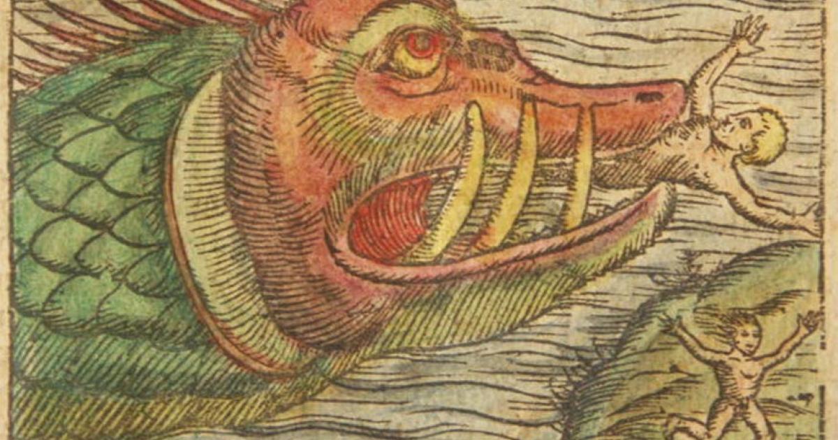 The Ancient Sea Monster Discovered in The Hull of King’s Ship | Ancient ...