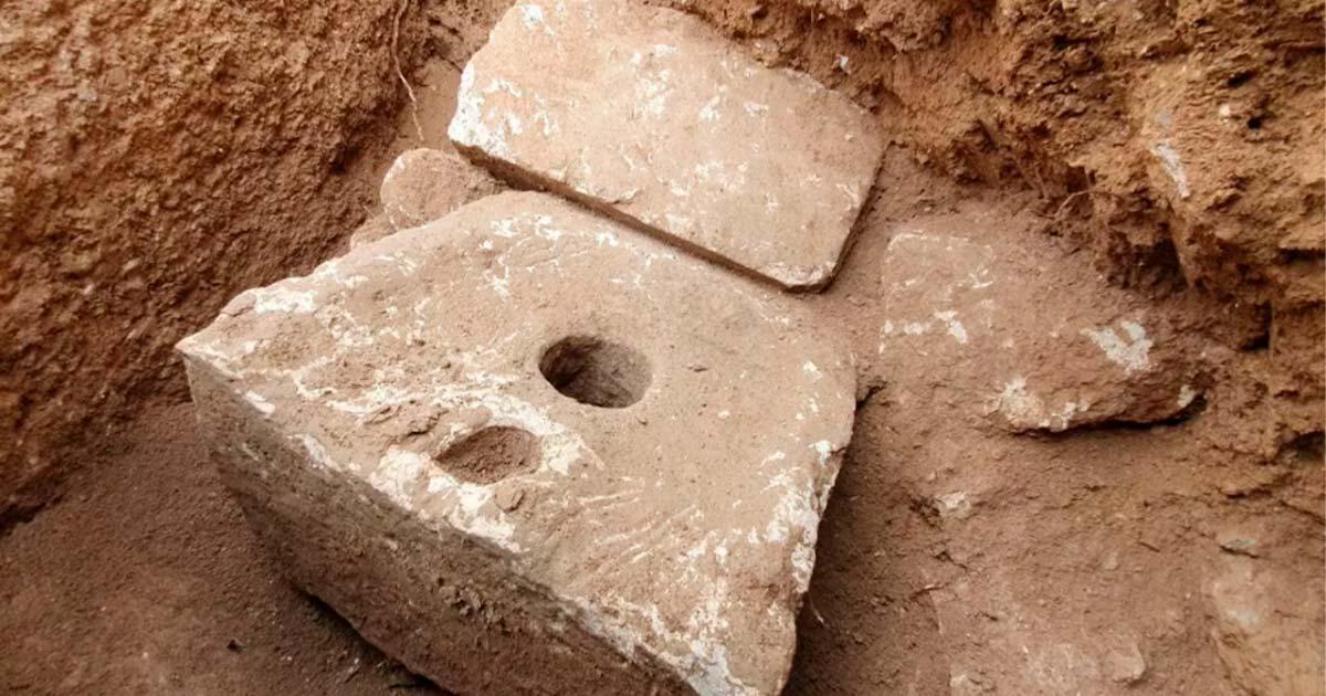 Poop From Biblical-Era Toilets in Jerusalem Reveals Oldest Dysentery ...