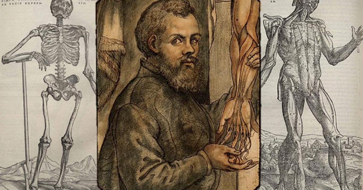 Through Flesh and Bones: The Remarkable Story of Andreas Vesalius ...