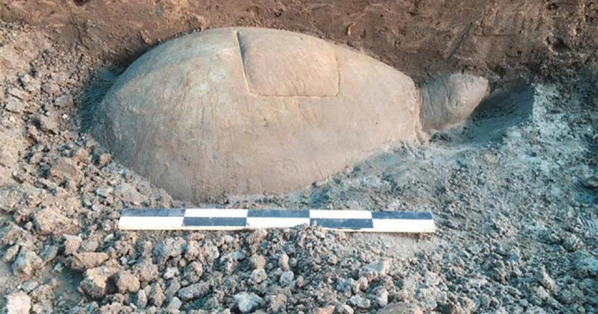 Rare Turtle Statue Found Submerged in Angkor Reservoir | Ancient Origins