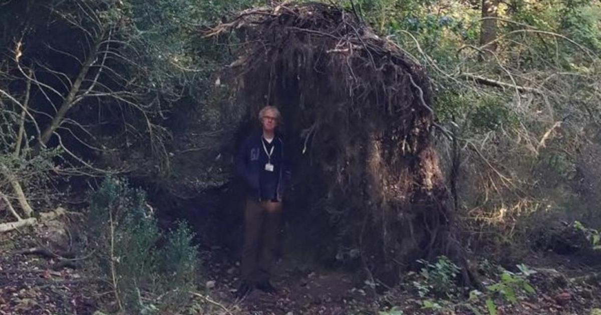 The Missing Link to Stonehenge: Stone Age Eco-Home Discovered near ...