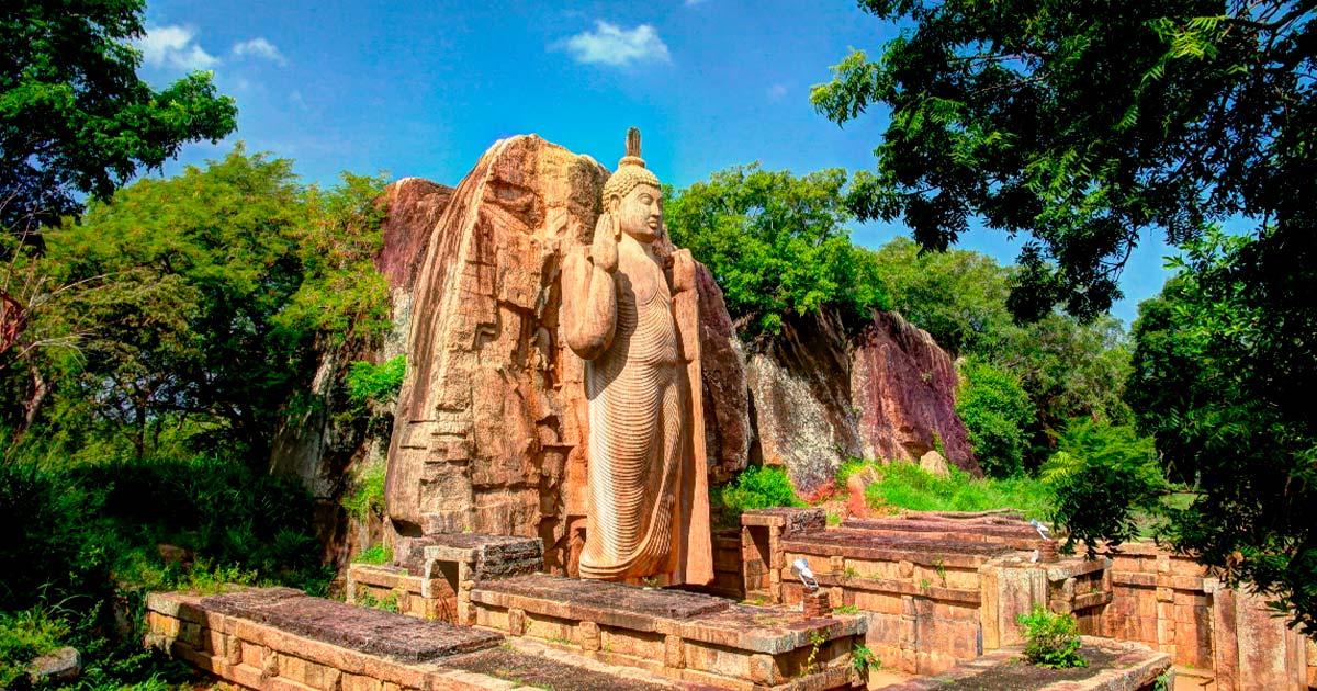 Avukana Buddha - Sri Lanka’s Most Important Buddhist Pilgrimage Site ...