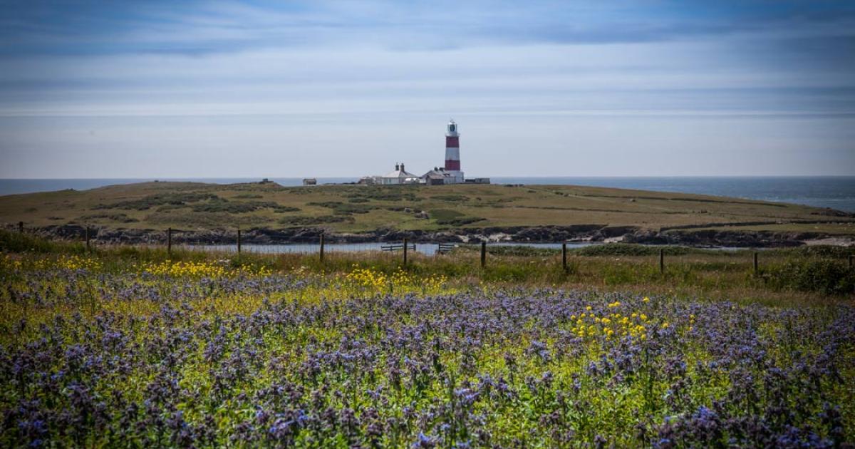 Bardsey Island – A Small Land for 20,000 Holy Souls | Ancient Origins