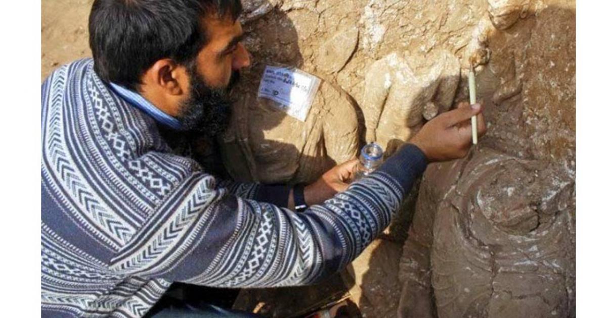 500 ancient artifacts uncovered at the remarkable Bhamala ...