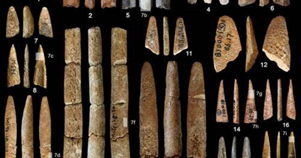 Paleolithic Bone Tools Discovered in Chinese Cave Are Some of the ...