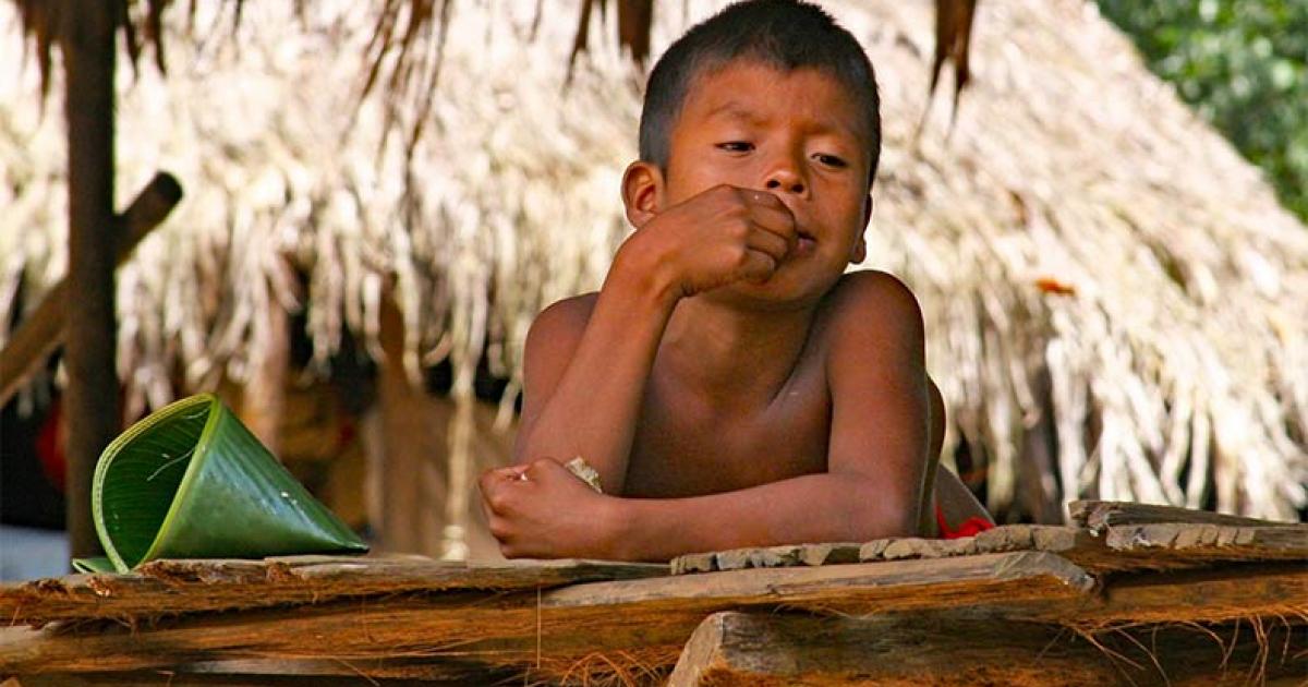 DNA Studies Reveals True Origins of First Inhabitants of the Caribbean ...