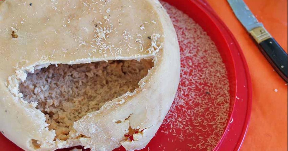 This Ancient Cheese is Eaten With Live Maggots (Video) | Ancient Origins