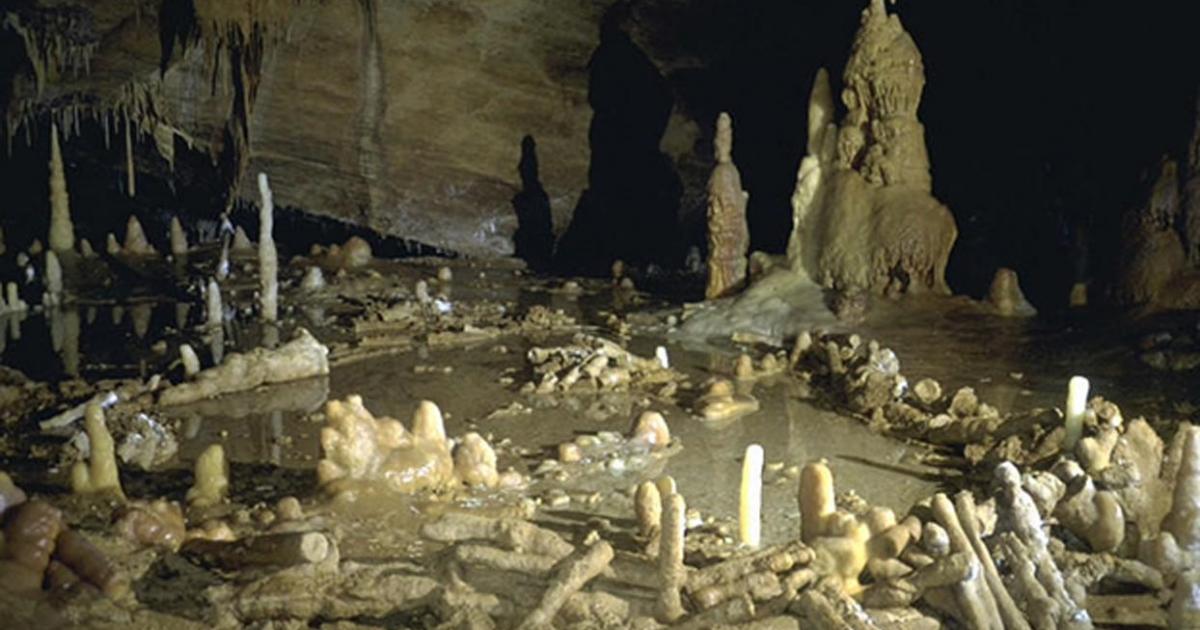 Deep in a Cave in France Neanderthals Constructed Mysterious Ring ...