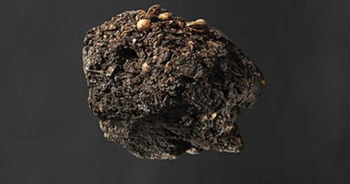 Archaeologists Match 300-Year-Old Clump of Fecal Matter to the Bishop ...