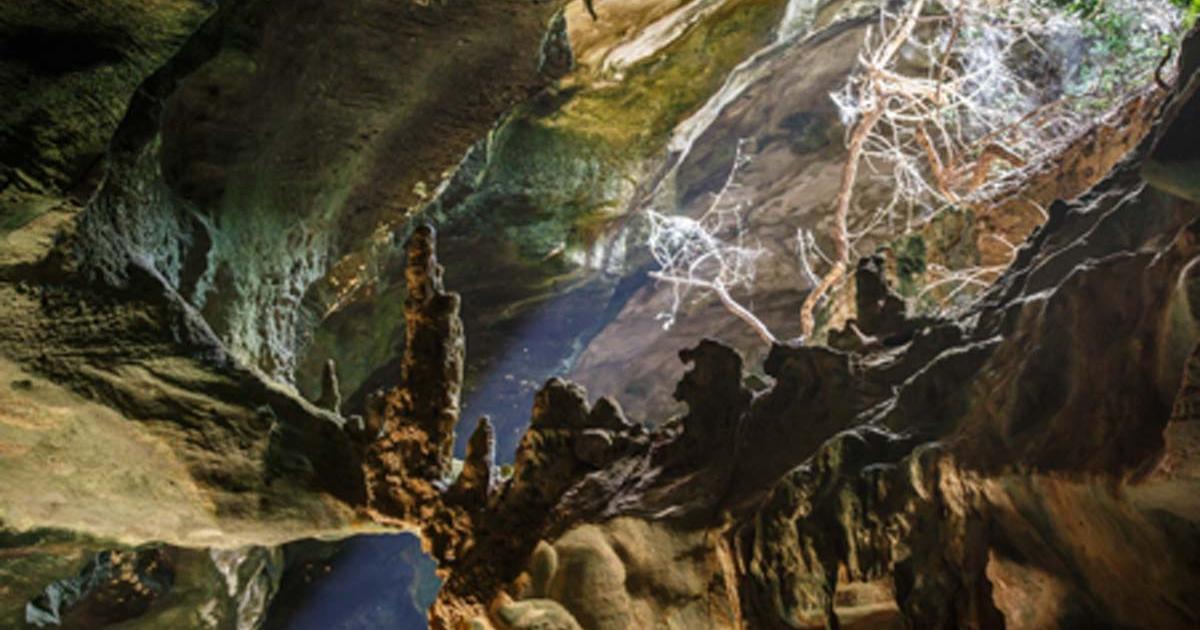 Conch Bar Caves: The Largest Non-Submerged Cave System of the Caribbean ...