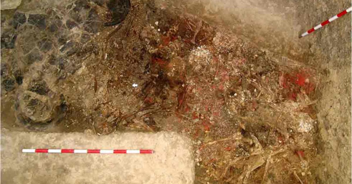 Copper Age Settlement Shows Evidence of Accidental Ritual Mercury Abuse ...