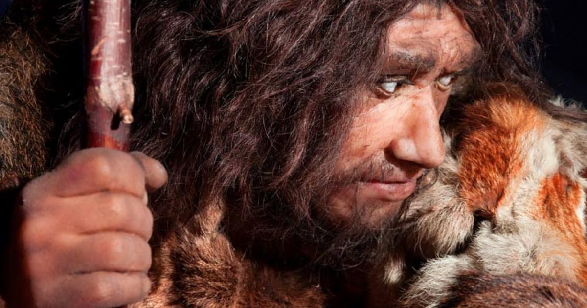 Cold Climates Contributed to the Extinction of the Neanderthals ...