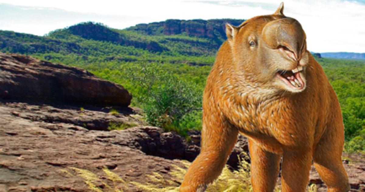 Diprotodon: The Massive Marsupial that Roamed Australia 5.3 Million ...