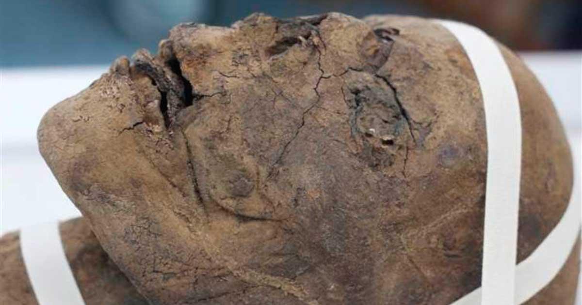 Egyptian Mummy’s Head Discovered In English Attic Scanned | Ancient Origins