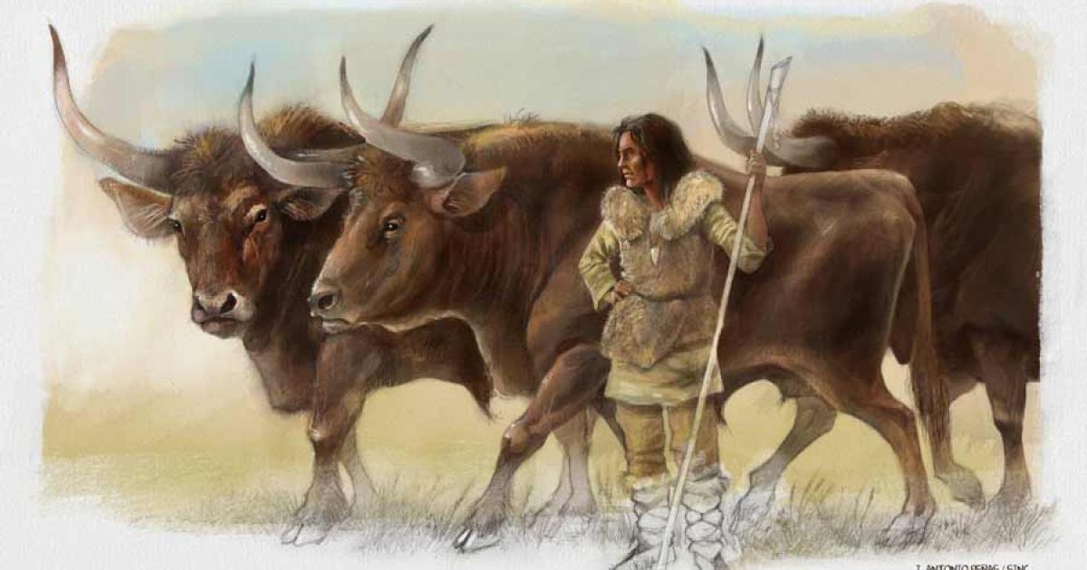 Does Elba the ‘Shepherdess’ Reveal Early Animal Domestication ...