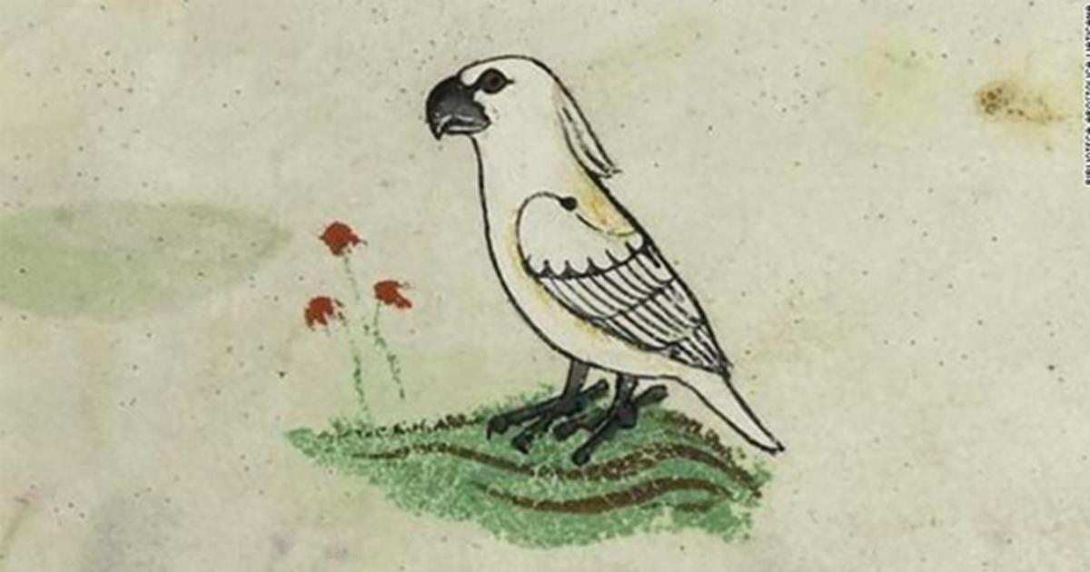 The Dark Legacy of an Exotic Parrot Gifted to an Ancient Emperor ...