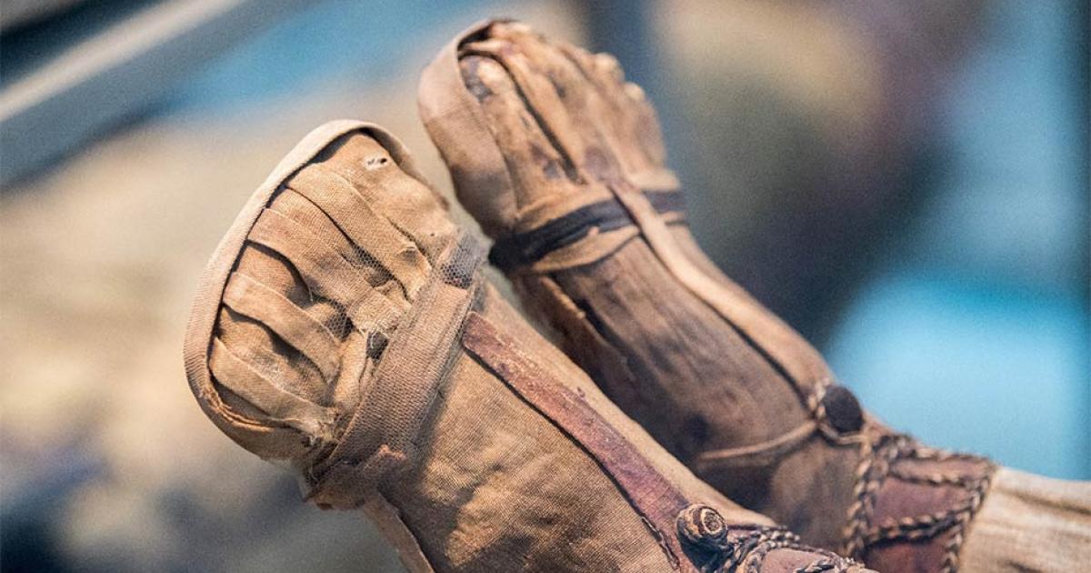 Mummified Body Parts Among Artifacts Now Banned on Facebook | Ancient ...