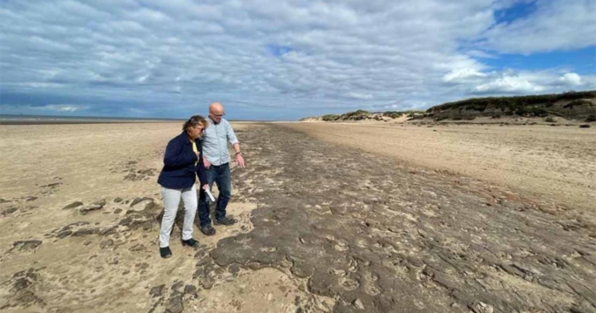 Footprints Exposed on a Merseyside Beach Reveal Irish Sea “Serengeti ...