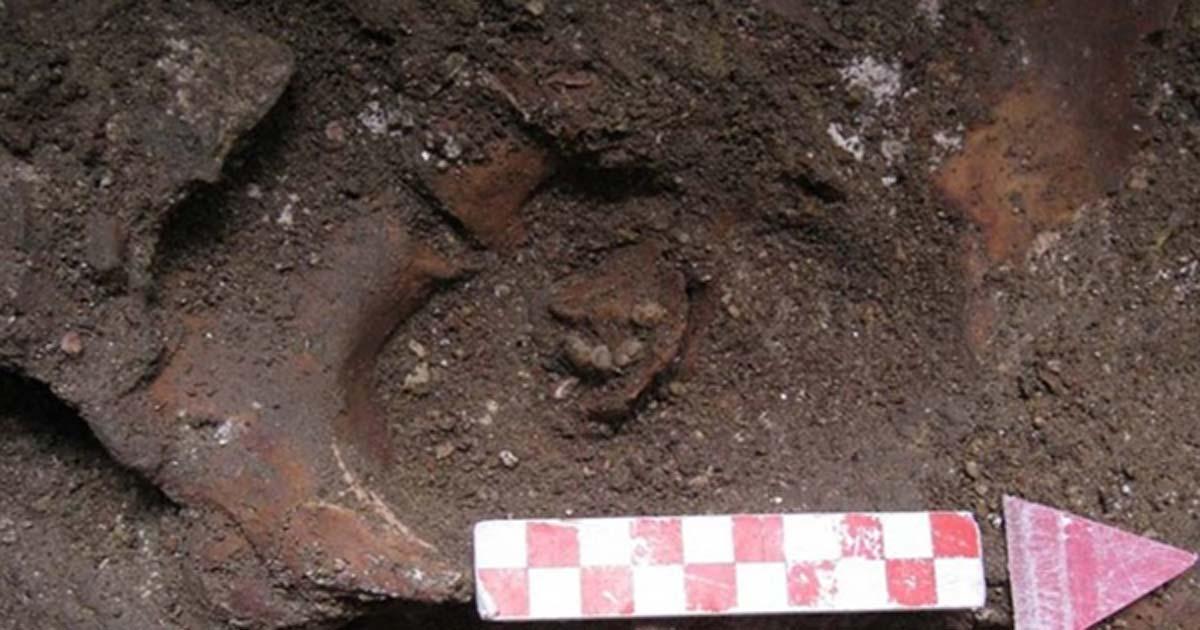 Archaeologists Found a Medieval Body With a Tumor That Was Growing ...