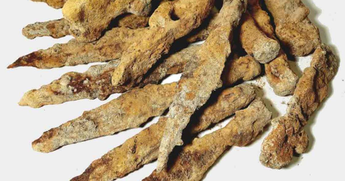 Weapons of Germanic Tribes from Roman Era Discovered in Poland ...