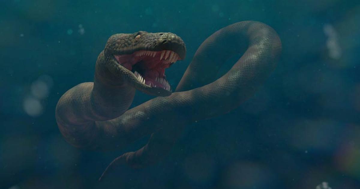 Amazon Anaconda Underwater